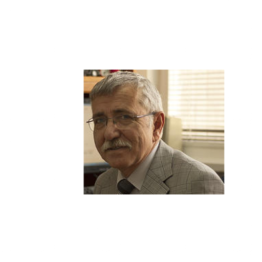 TED University LMS: All courses